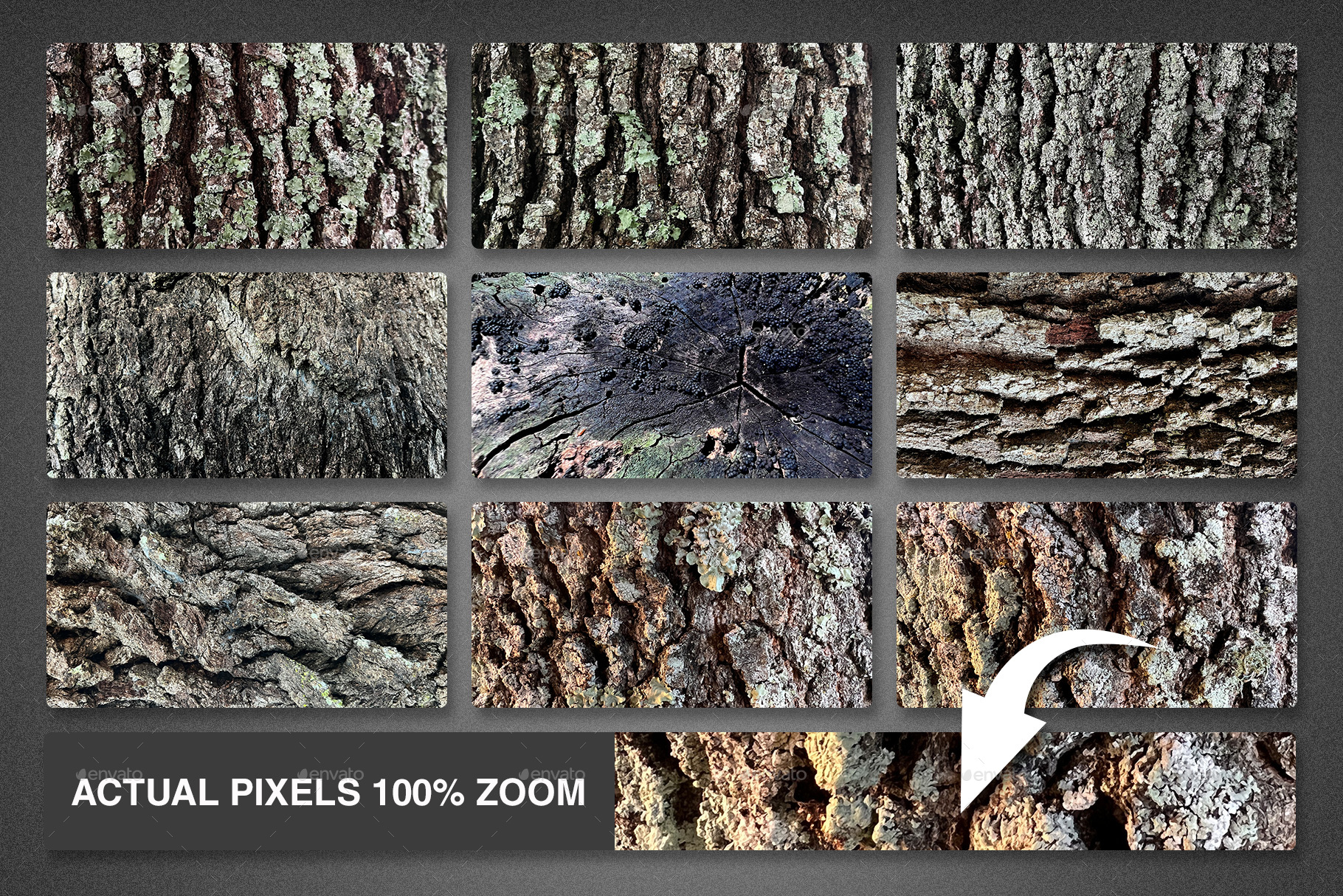 Oak Tree Bark Texture Pack, Textures | GraphicRiver